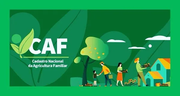 Agricultor familiar deve estar atento aos documentos necessários para ...