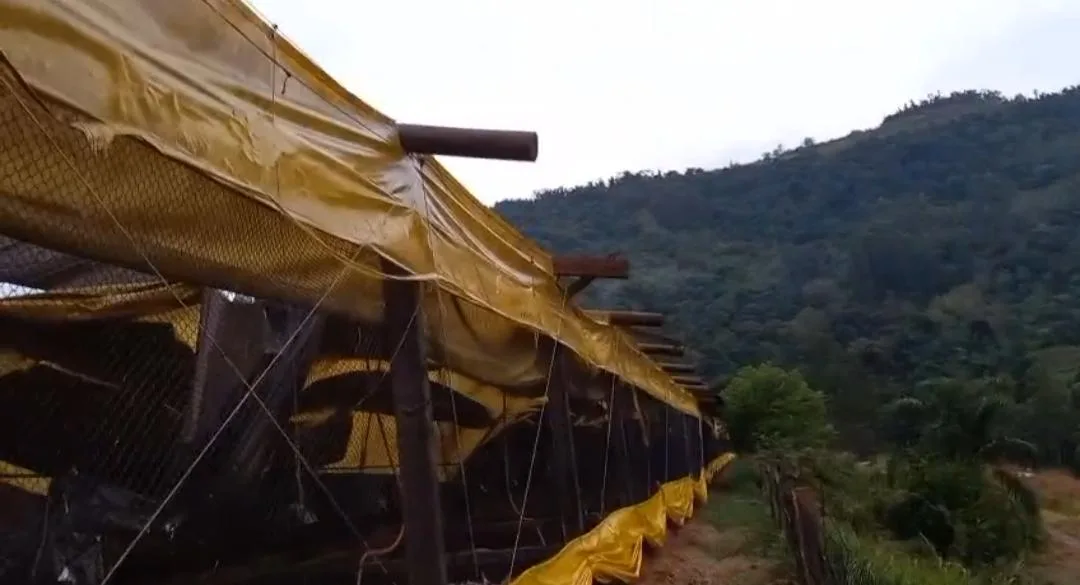 Chuva forte e vendaval causam destelhamentos no interior de Paial - BelosF7