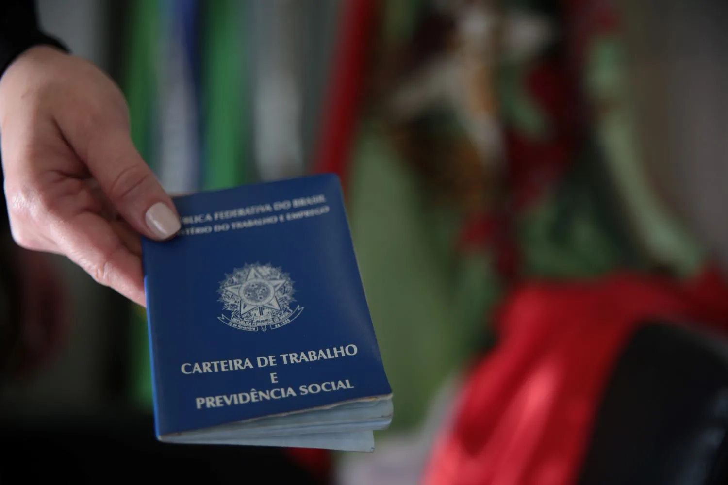 SC tem mais de oito mil vagas de emprego. Em Seara são 228 ...
